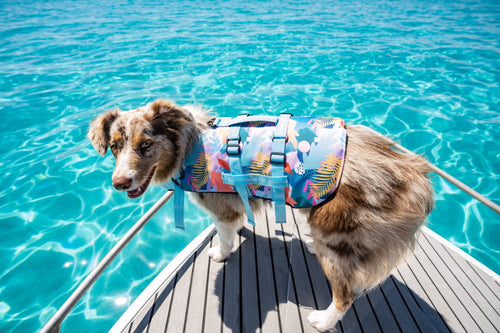 Stylish Hound | Modern Dog Accessories