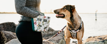 Stylish Hound | Your dog's go to Shop